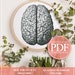 Anatomical Brain Cross Stitch Pattern PDF, Anatomy Cross Stitch ...