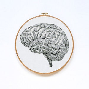 Anatomical Brain Cross Stitch Pattern PDF, Anatomy Cross Stitch ...
