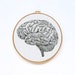 Anatomical Brain Cross Stitch Pattern PDF, Anatomy Cross Stitch ...