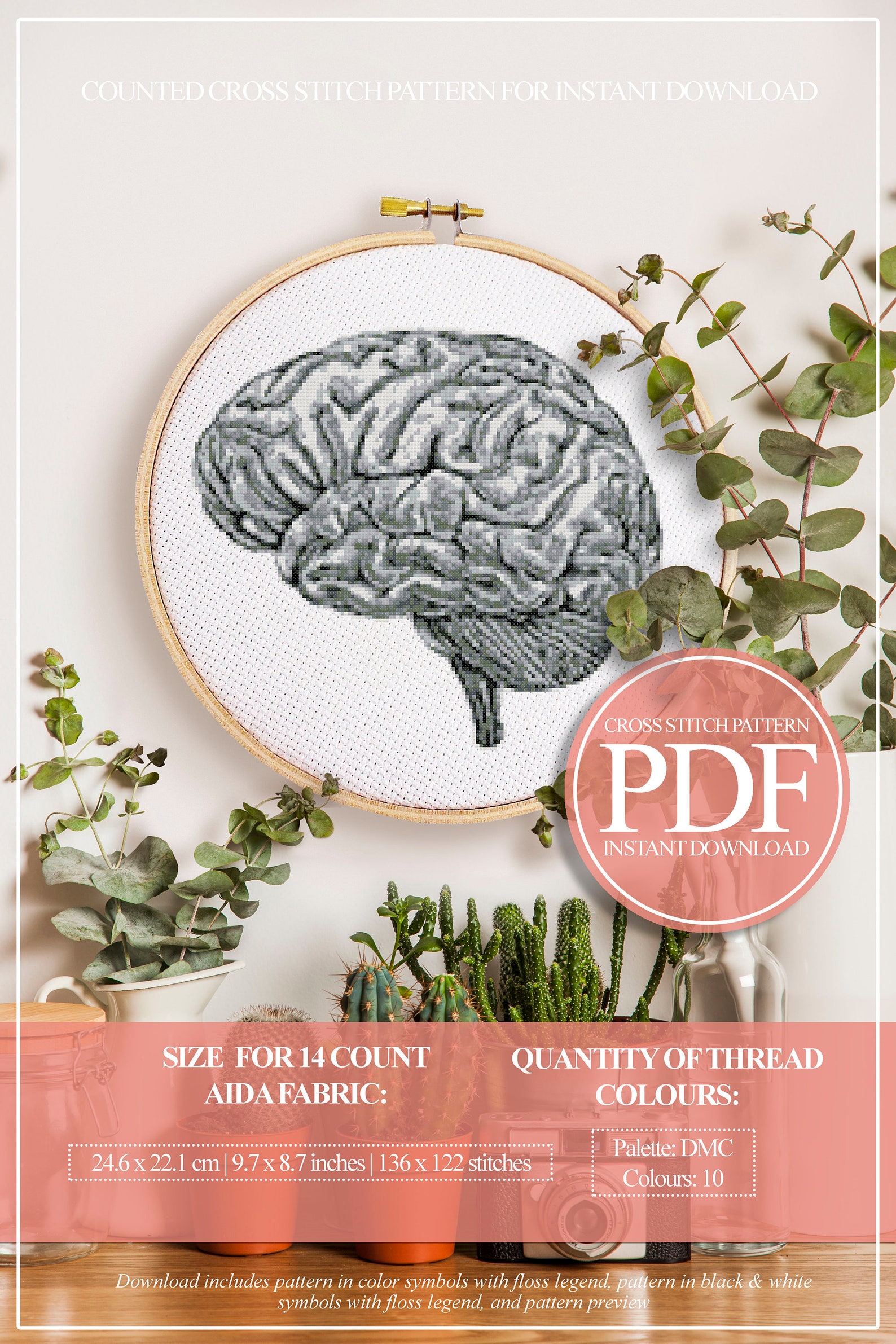 Anatomical Brain Cross Stitch Pattern PDF Anatomy Cross | Etsy