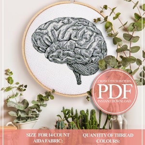 Anatomical Brain Cross Stitch Pattern PDF, Anatomy Cross Stitch ...