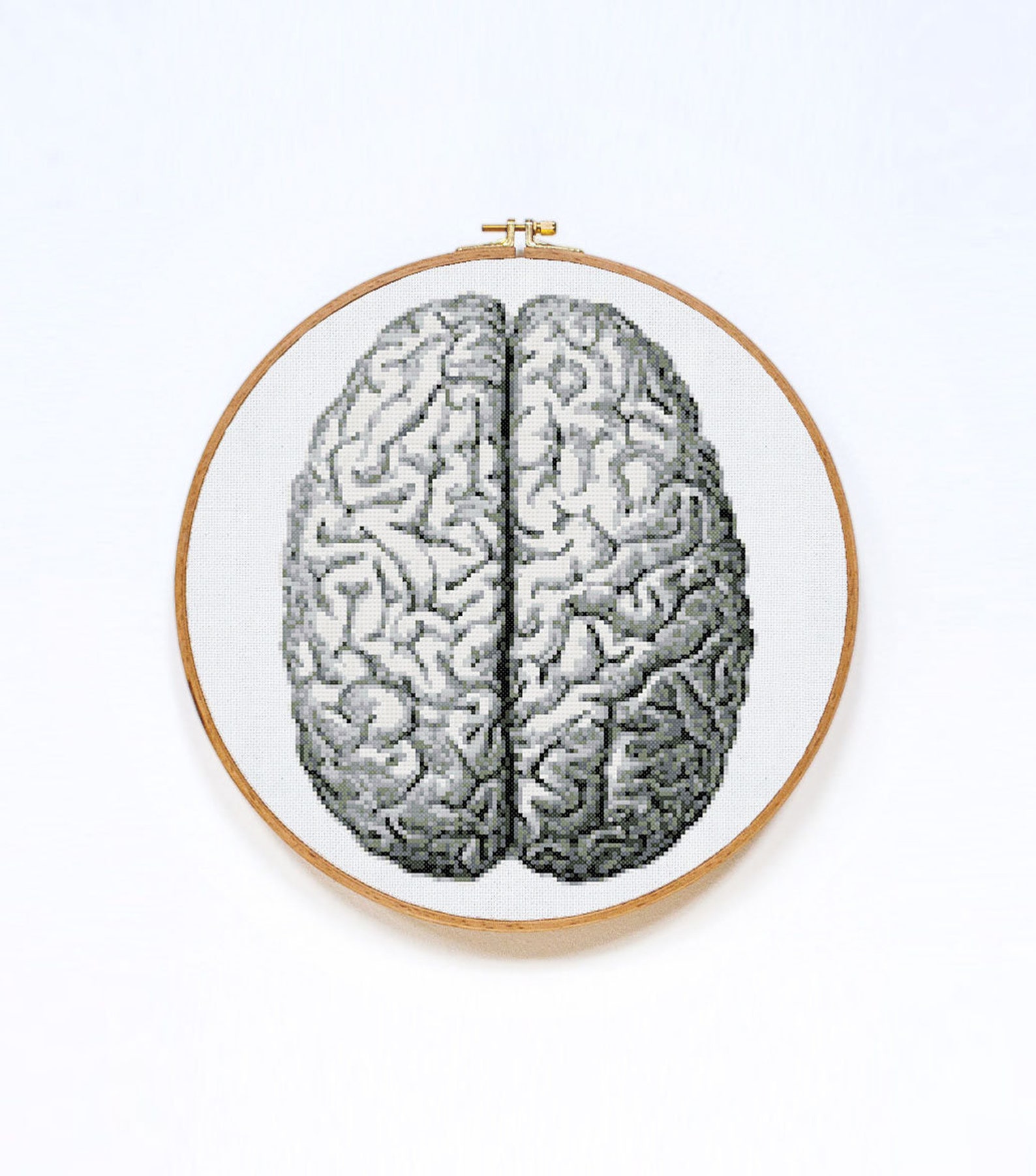 Anatomical Brain Cross Stitch Pattern PDF Anatomy Cross | Etsy