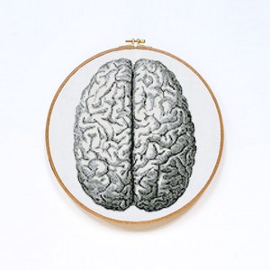Anatomical Brain Cross Stitch Pattern PDF, Anatomy Cross Stitch ...