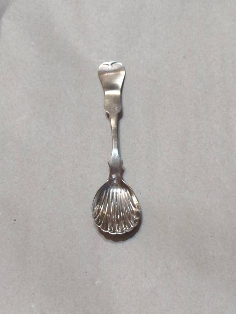 Antique Shell Shaped Sugar Spoon,coin Silver Sugar Spoon,jaccard & Co ...