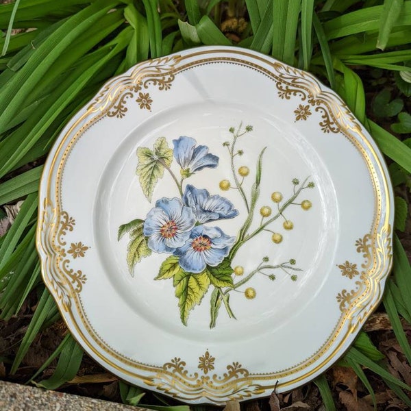 Spode China - Etsy