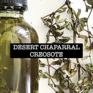 Creosote Body Oil: Organic Desert Rain Scent, Grapeseed & Jojoba - Etsy