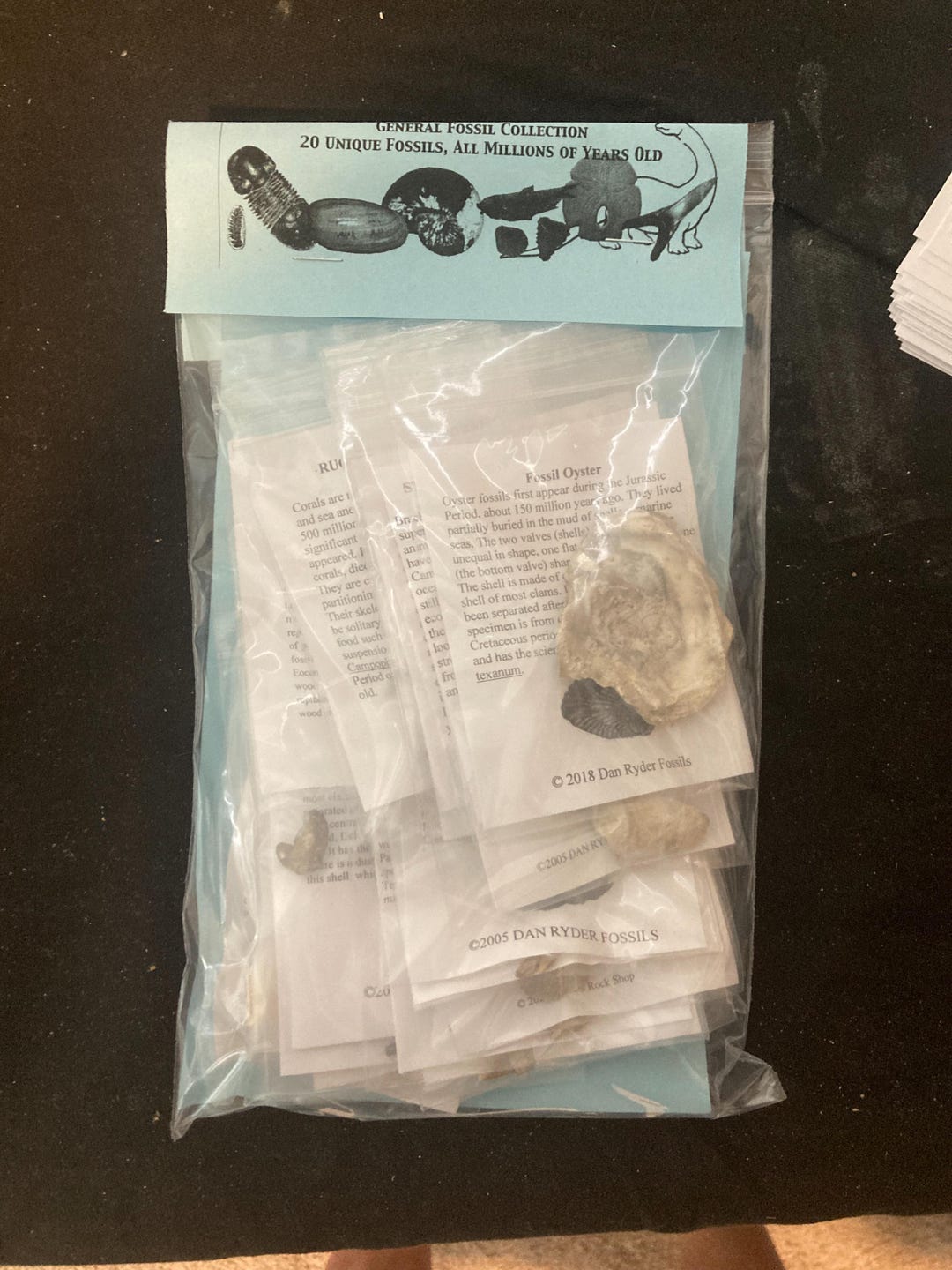 20 Specimen Fossil Collection, TONS OF INFO Great for Teachers/scouts ...