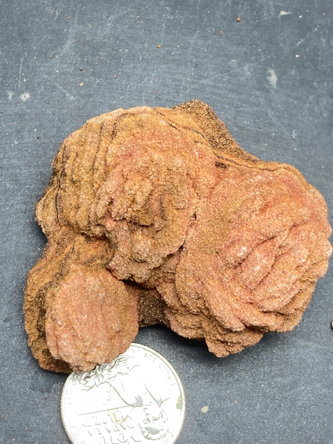 Large Sparkly Barite Rose Rock Crystal Cluster of 3 + Limonite, State ...