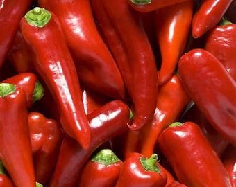 Guajillo Pepper Chile Guaco Mirasol Premium Seed Packet - Etsy