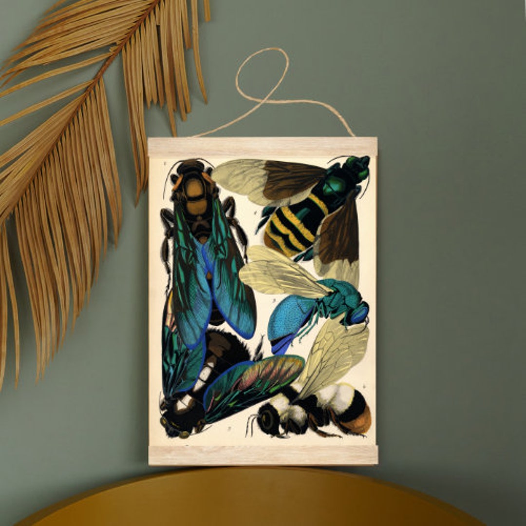 Vintage Wasps, Wooden Frames With Poster Hanger, Prints Hanger, Wall ...