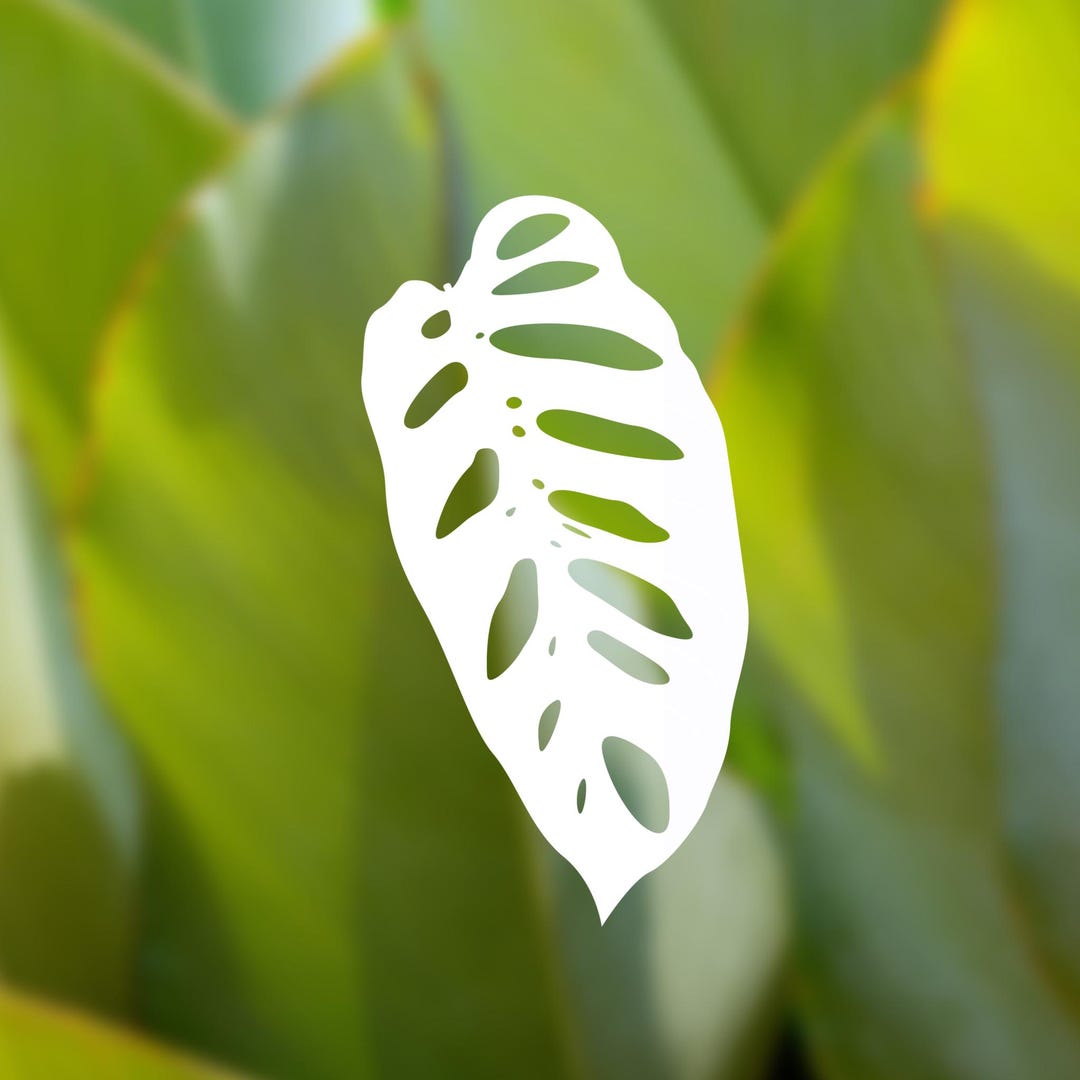 Monstera Adansonii, Monstera Plant, Plant Decal, Plant Sticker, Decals ...