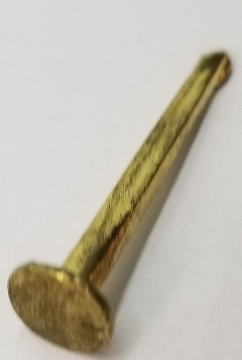 Brass Trunk Nails 1 Long 1/4 LB Bag Chest Steamer - Etsy