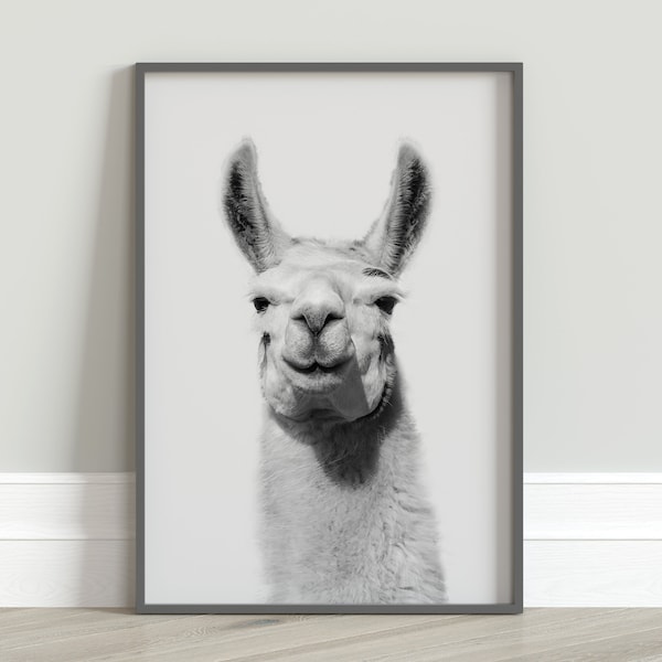 Llama Print - Etsy