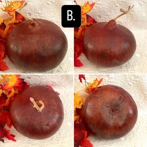 1 Vintage Stained Gourd Fall Halloween Thanksgiving Season Decor Nature ...