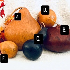 1 Vintage Stained Gourd Fall Halloween Thanksgiving Season Decor Nature ...