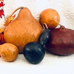 1 Vintage Stained Gourd Fall Halloween Thanksgiving Season Decor Nature ...