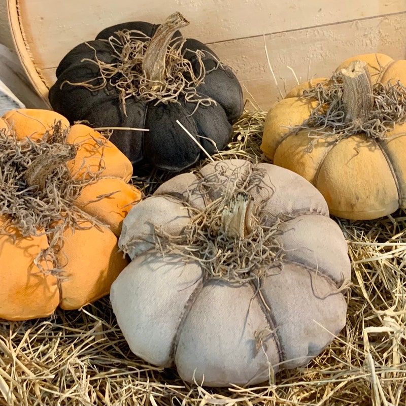 Real Pumpkin Stems - Etsy