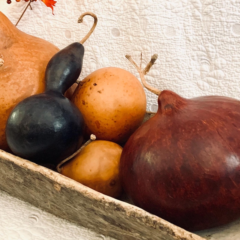 Decorated Gourds - Etsy