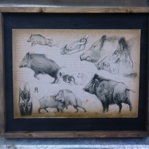 Wild Hog/boar Dog Hunting Drawing Wooden Sign | Etsy