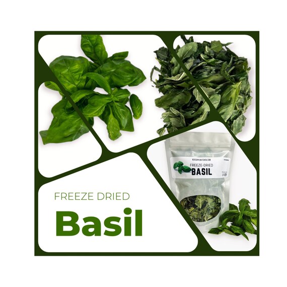 Freeze Dried BASIL Herbs Spices - Etsy
