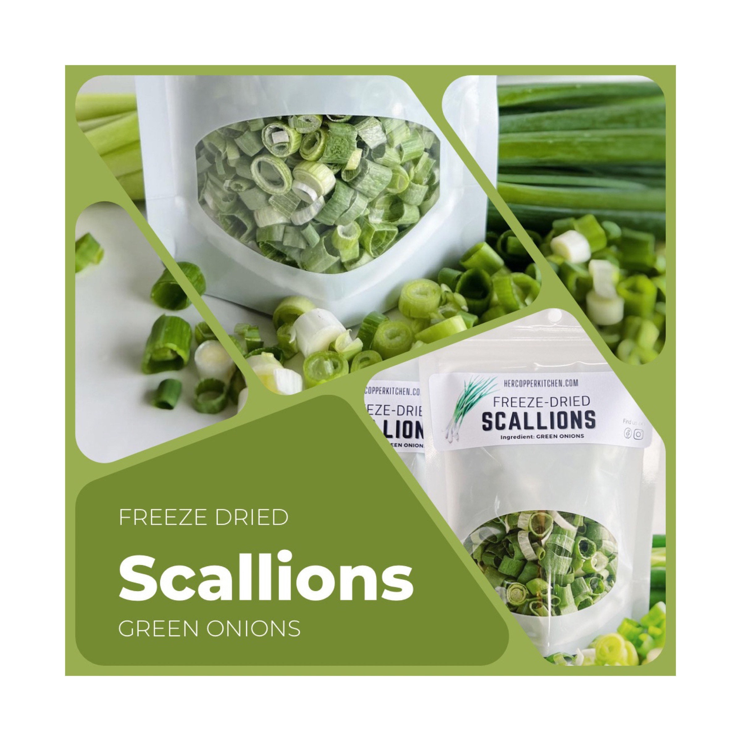 FREEZE DRIED SCALLIONS green Onions - Etsy