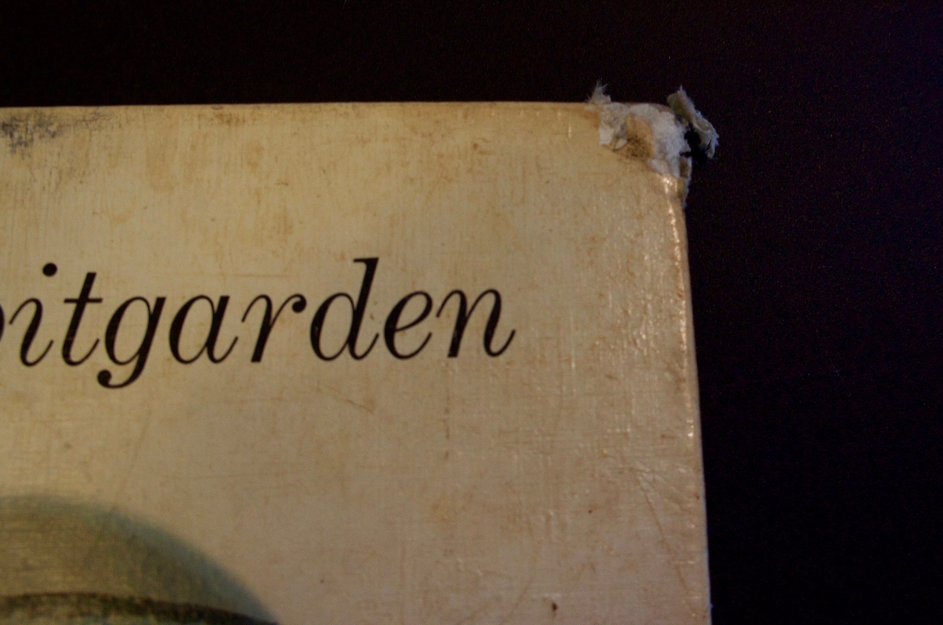 In the Rabbit Garden Leo Lionni Vintage Children's - Etsy