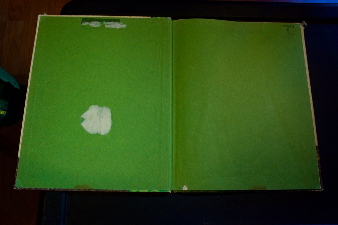 In the Rabbit Garden Leo Lionni Vintage Children's | Etsy