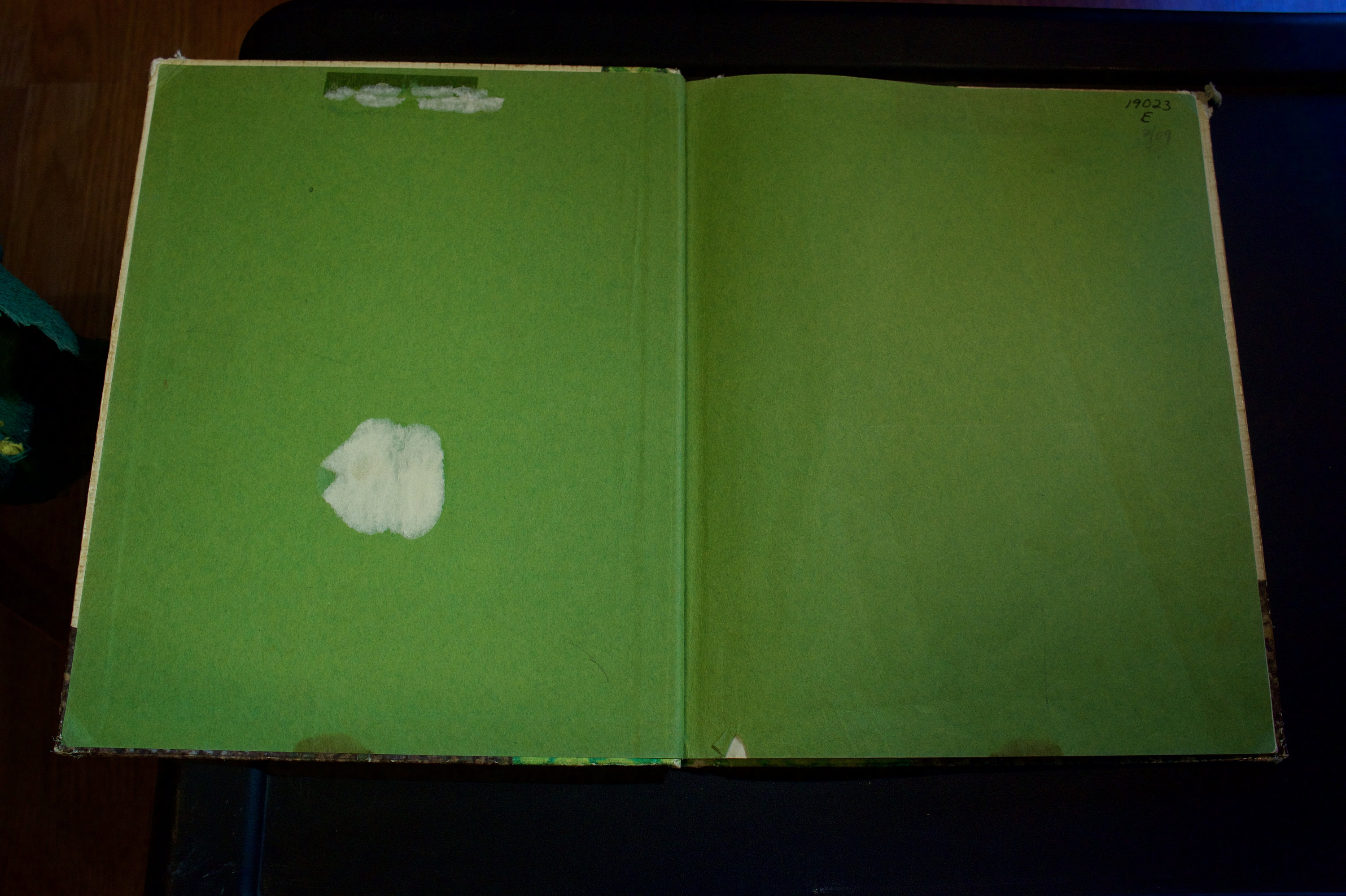 In the Rabbit Garden Leo Lionni Vintage Children's - Etsy