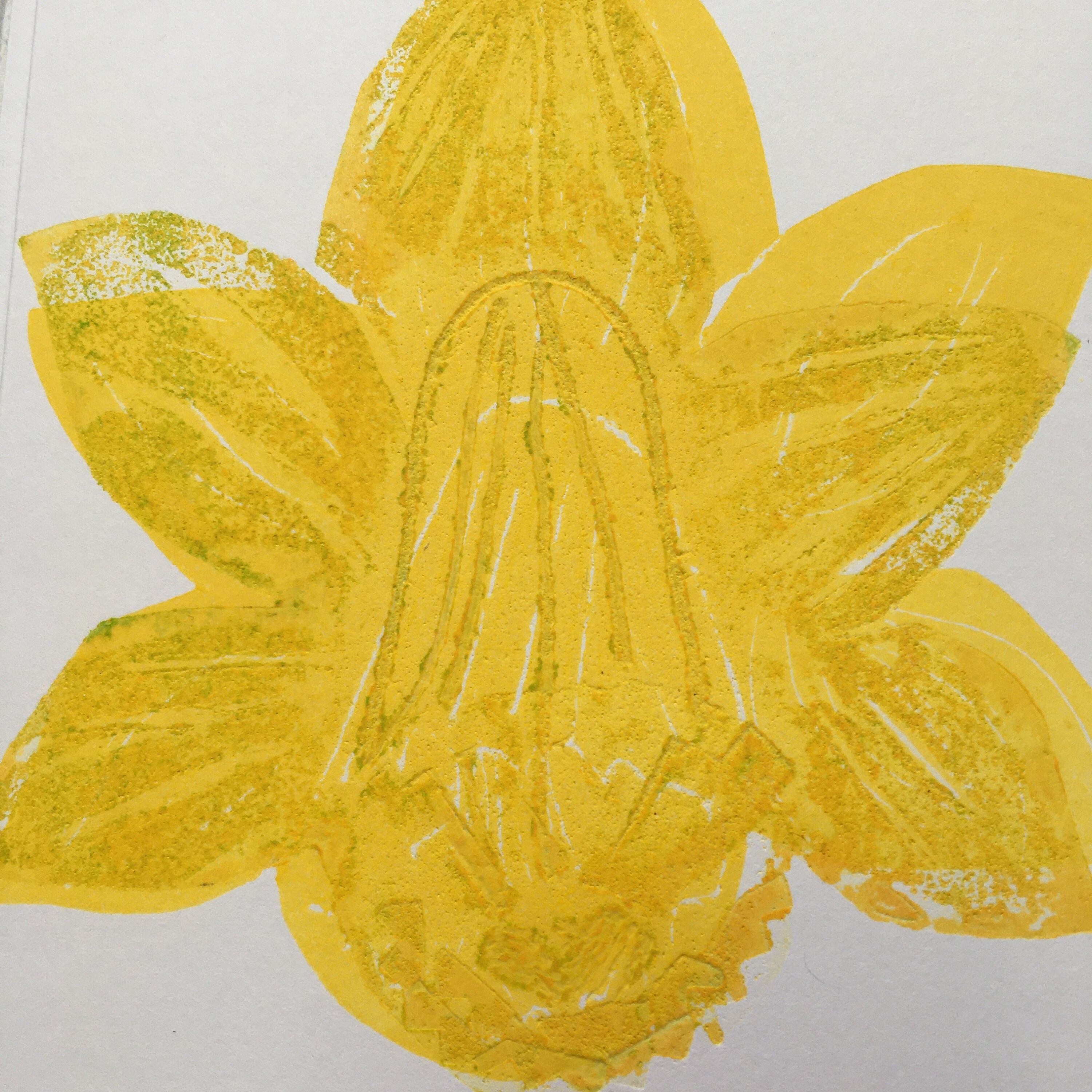 Daffodil Flower Card, Hand Printed Floral Art Card, Spring Flowers ...