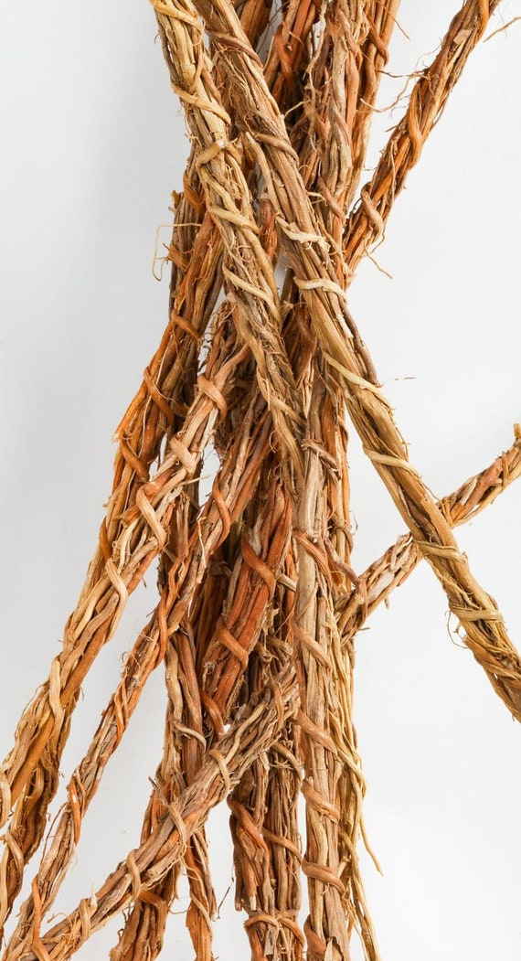 Khamaré / Gongoli / Vetiver Roots / Cepp - Etsy