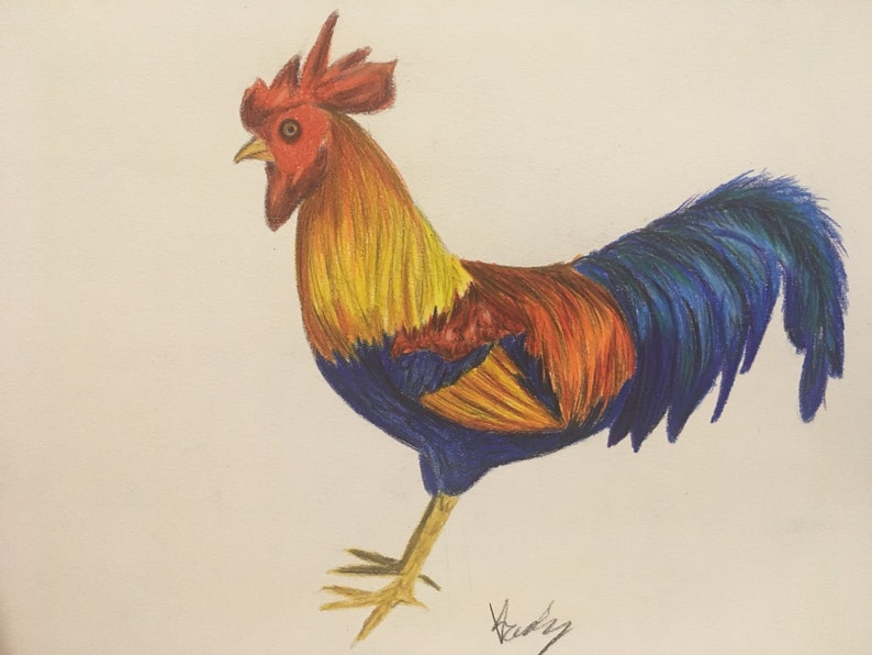 Rooster Drawing - Etsy