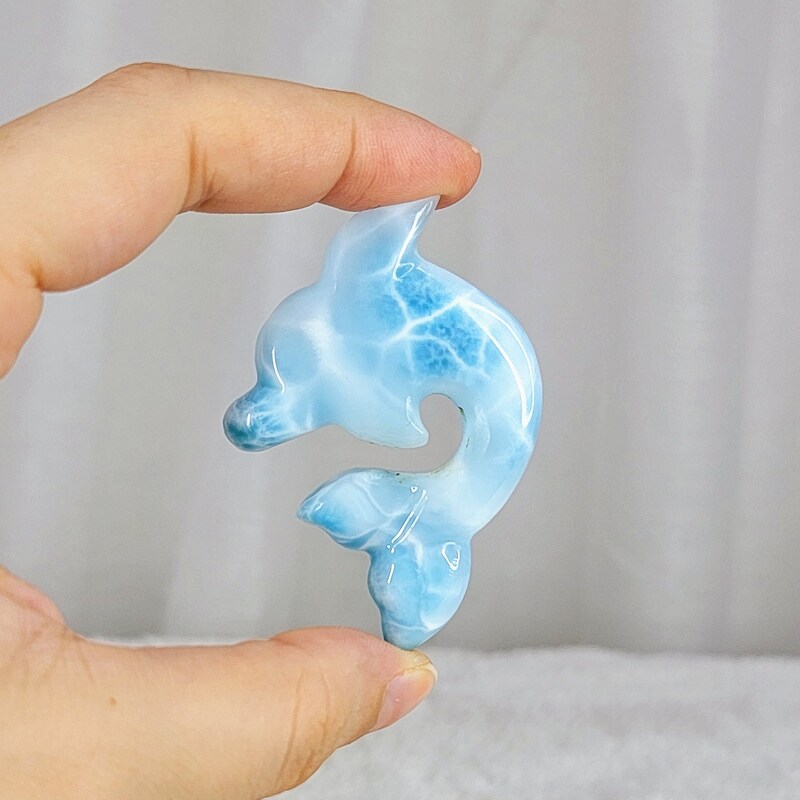 Dolphin Stone - Etsy