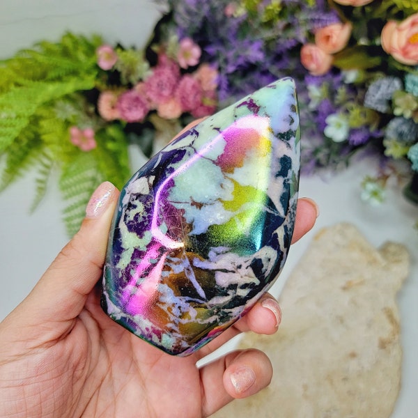 Pink Zebra - Etsy