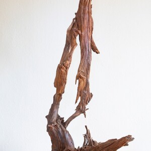 Pine Decorative Sculpture - "dancing Root" - Etsy