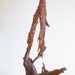 Pine Decorative Sculpture dancing Root - Etsy