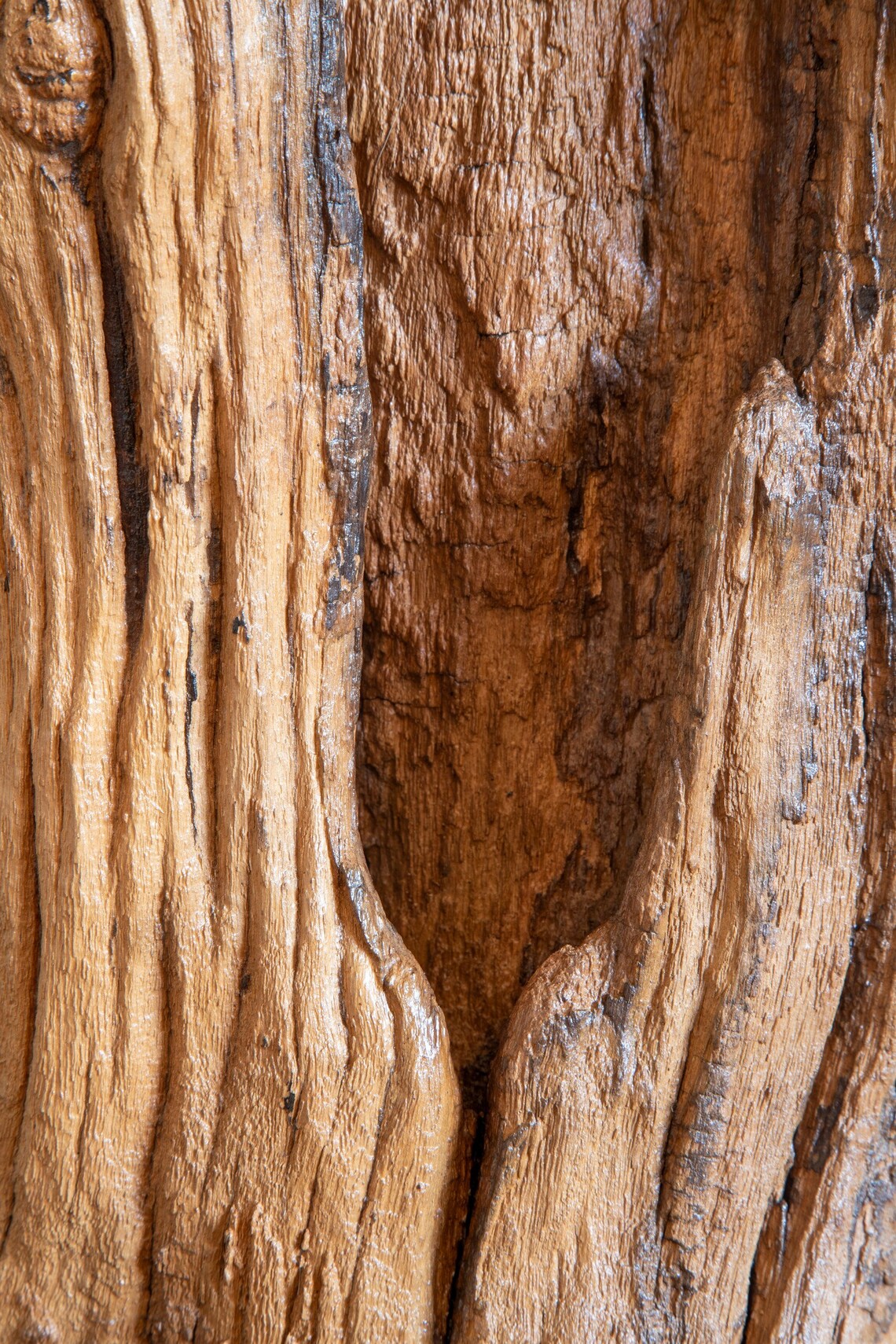 Free, at Last - Acacia Root Sculpture - Etsy