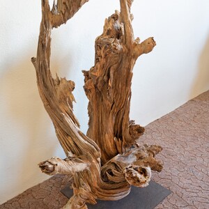 The Common Origin - Etsy