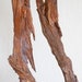 Pine Decorative Sculpture dancing Root - Etsy