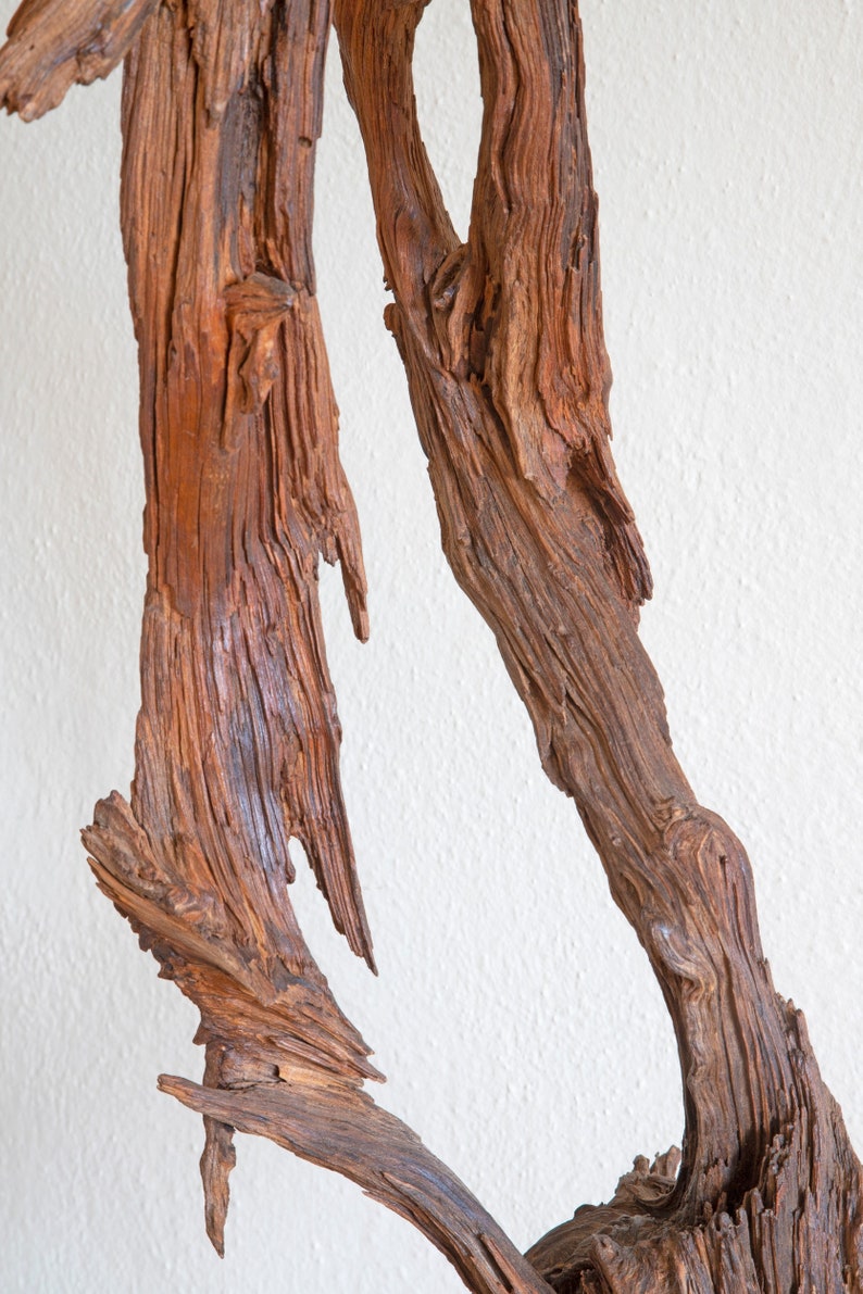 Pine Decorative Sculpture - "dancing Root" - Etsy
