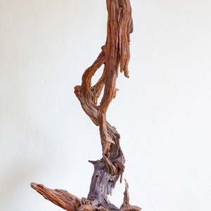 Pine Decorative Sculpture - "dancing Root" - Etsy