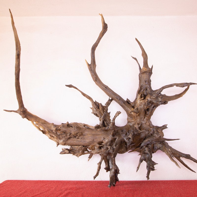 Root Art - Etsy