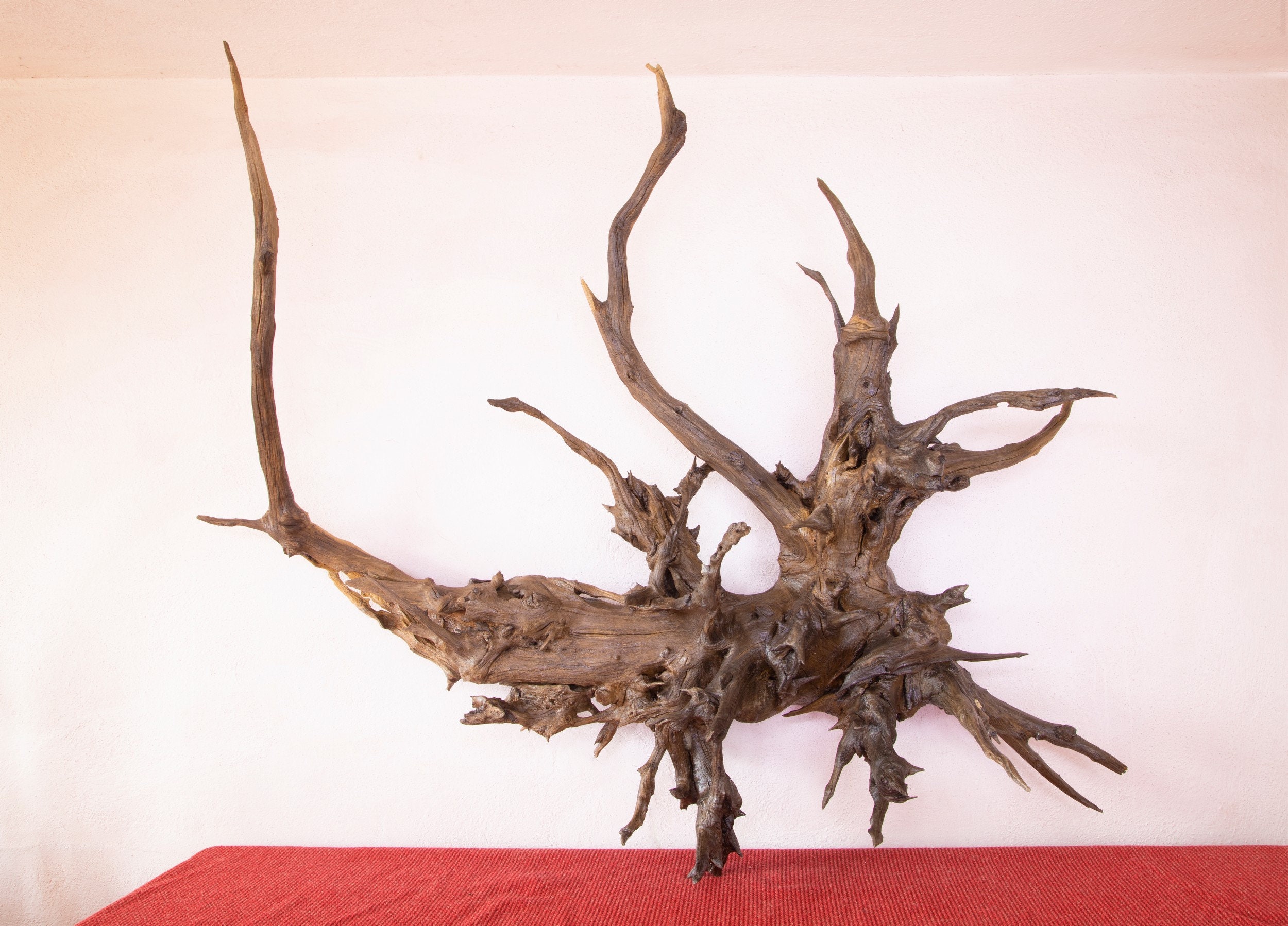 Like From the Sea - Acacia Hanging Decorative Sculpture - Root - Etsy