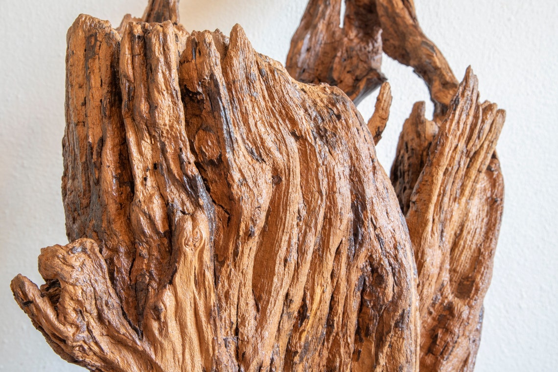 Free, at Last - Acacia Root Sculpture - Etsy