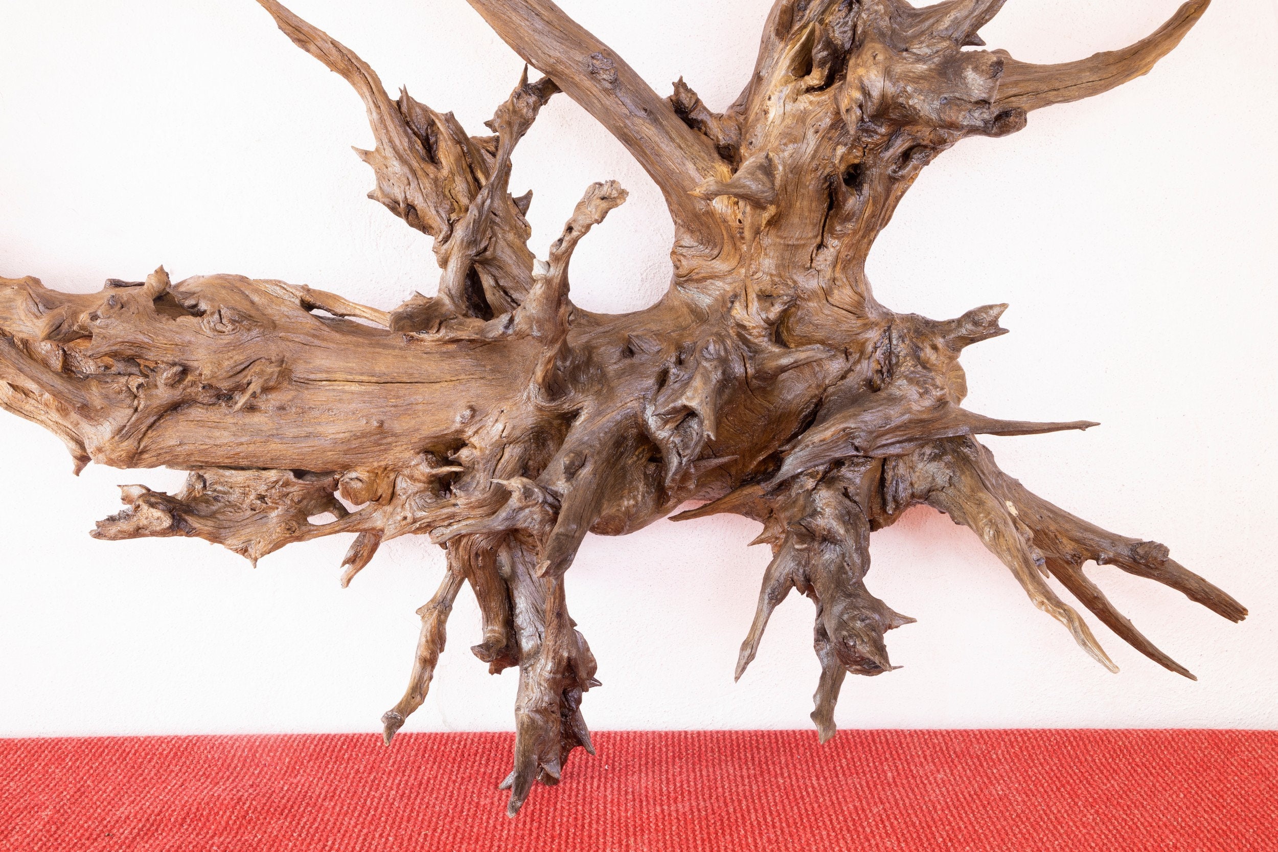 Like From the Sea - Acacia Hanging Decorative Sculpture - Root - Etsy