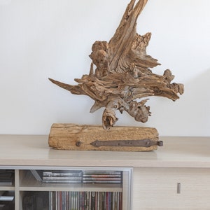 Alien Yacht - Pine Decorative Sculpture on the Drift Wood Stand - Etsy