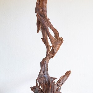 Pine Decorative Sculpture - "dancing Root" - Etsy