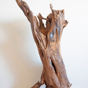Free, at Last - Acacia Root Sculpture - Etsy