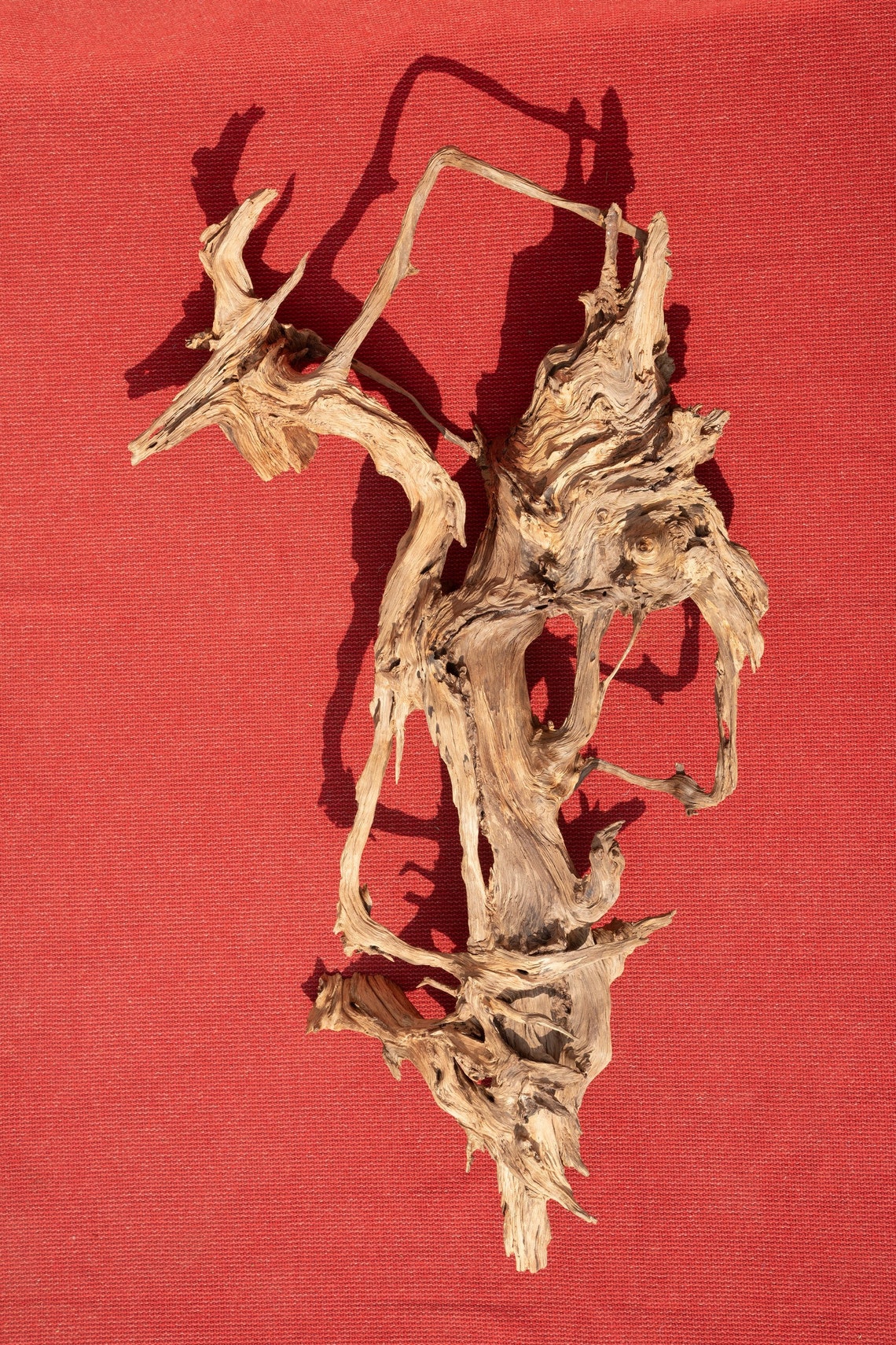 The Dying Dragon - Pine Hanging Sculpture - Etsy