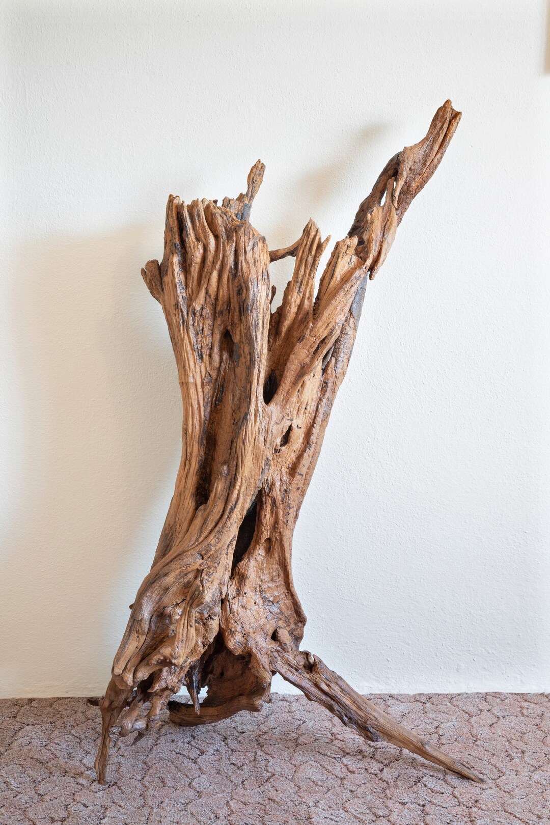 Free, at Last - Acacia Root Sculpture - Etsy