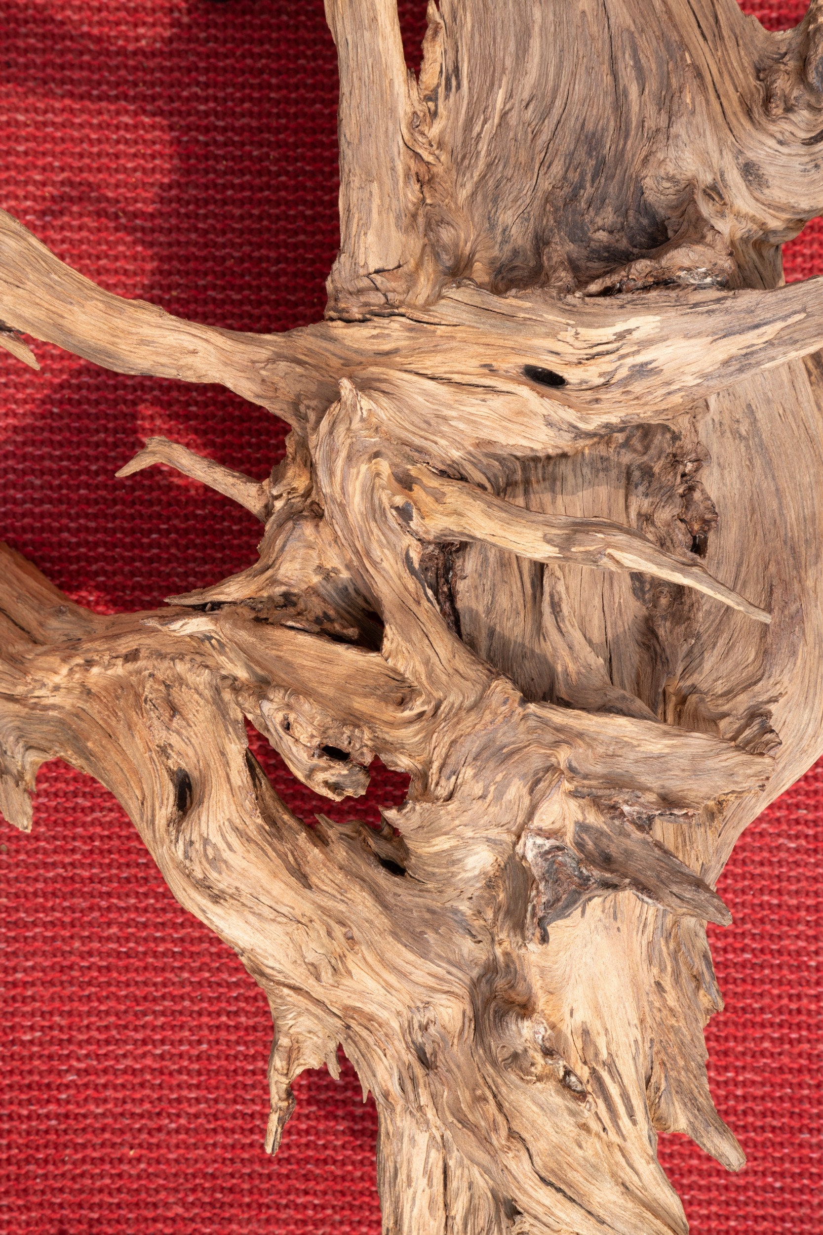 The Dying Dragon - Pine Hanging Sculpture - Etsy